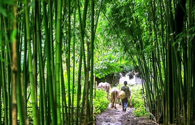 Tàu Curiosity đã thay đổi vĩnh viễn cách đổ bộ xuống Sao Hỏa như thế nào?